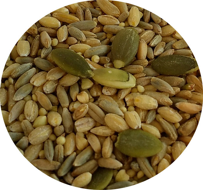 Seed Products – TOP's Parrot Food