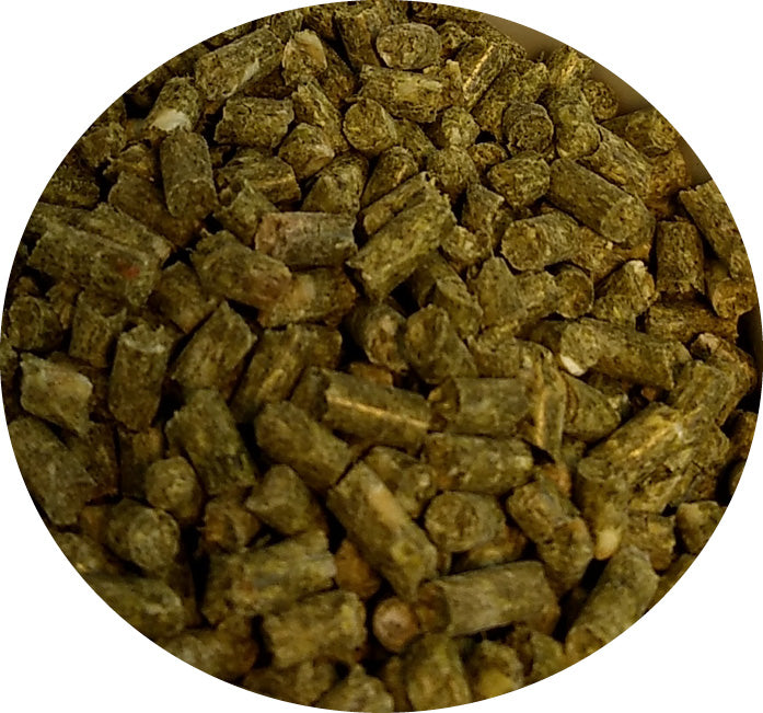 4 lb. Small Pellet Two-Pack (includes shipping) – TOP's Parrot Food